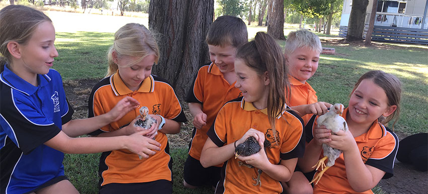 CS Energy announces latest community sponsorship recipients | CS Energy