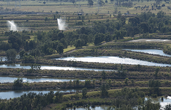 Environment | CS Energy